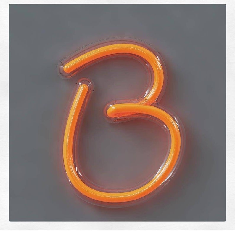 Custom Neon Sign Initial Name Sign LED Name Sign for - Etsy