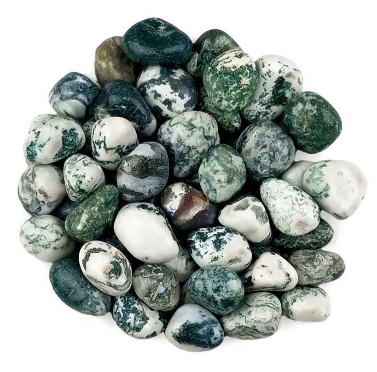 Tree Agate Tumbled Stone | Etsy