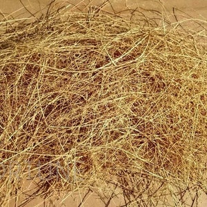 Vetiver Roots - Ramacham-dried VETIVER Root, CUSCUS, KHUS Khus Grass - Etsy