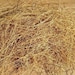 Vetiver Roots Ramacham-dried VETIVER Root, CUSCUS, KHUS Khus Grass - Etsy