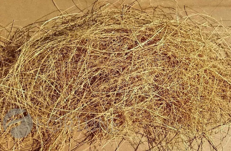 Vetiver Roots Ramacham-dried VETIVER Root CUSCUS KHUS Khus - Etsy