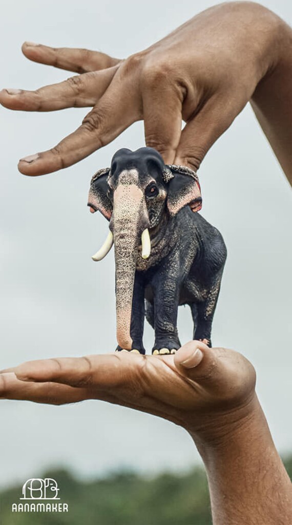 Kerala Elephant Height Details