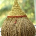 Kerala Traditional Kathirkkula (paddy Bundle) Paddy Sheaves, Nelkathir ...