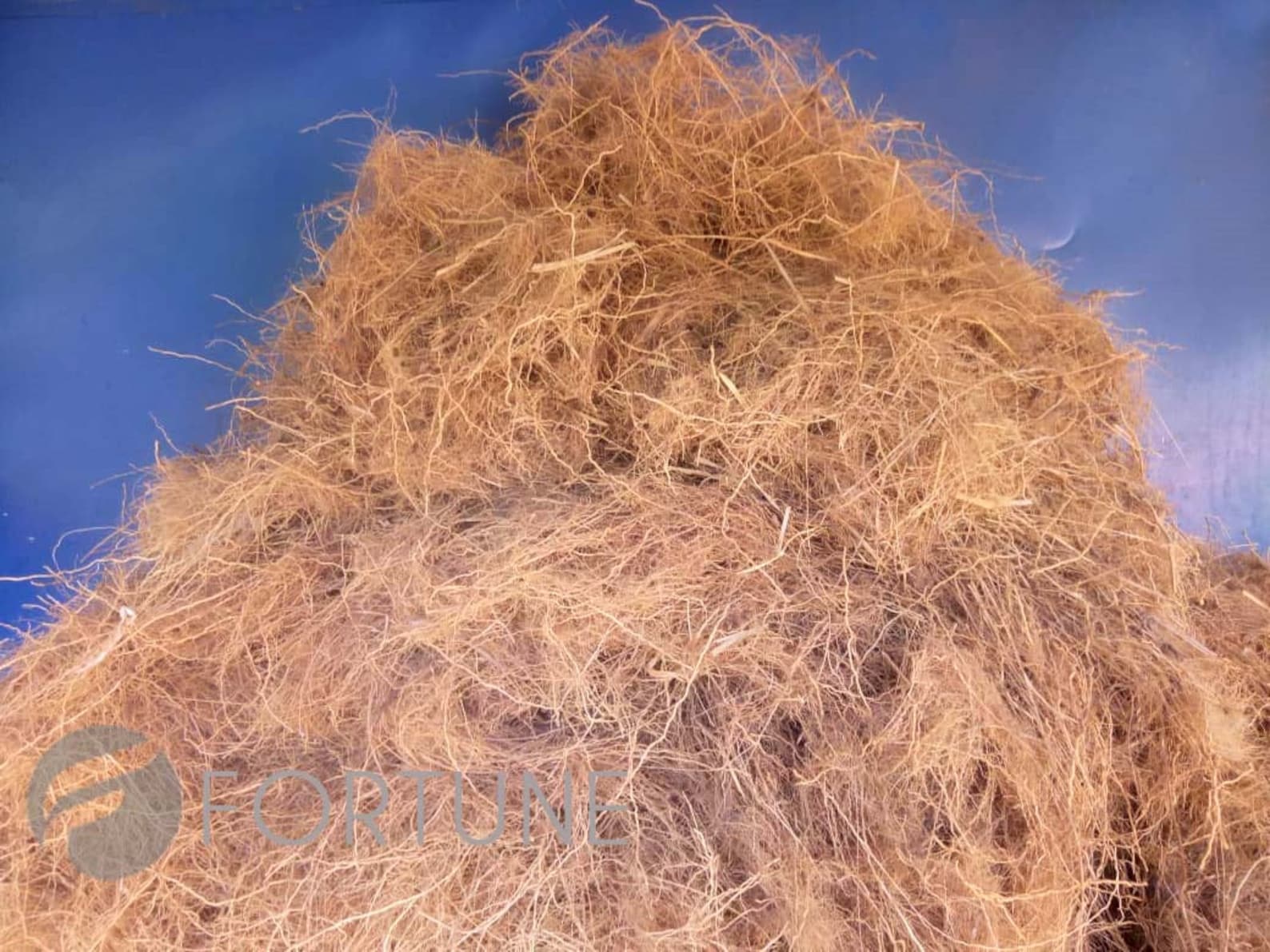 Vetiver Roots Ramacham-dried VETIVER Root CUSCUS KHUS Khus - Etsy