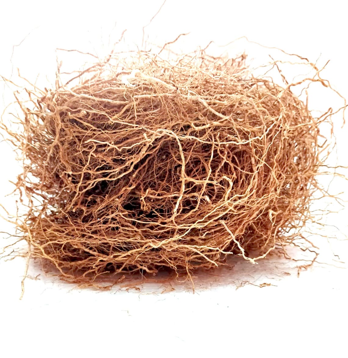 Vetiver Roots Ramacham-dried VETIVER Root CUSCUS KHUS Khus - Etsy