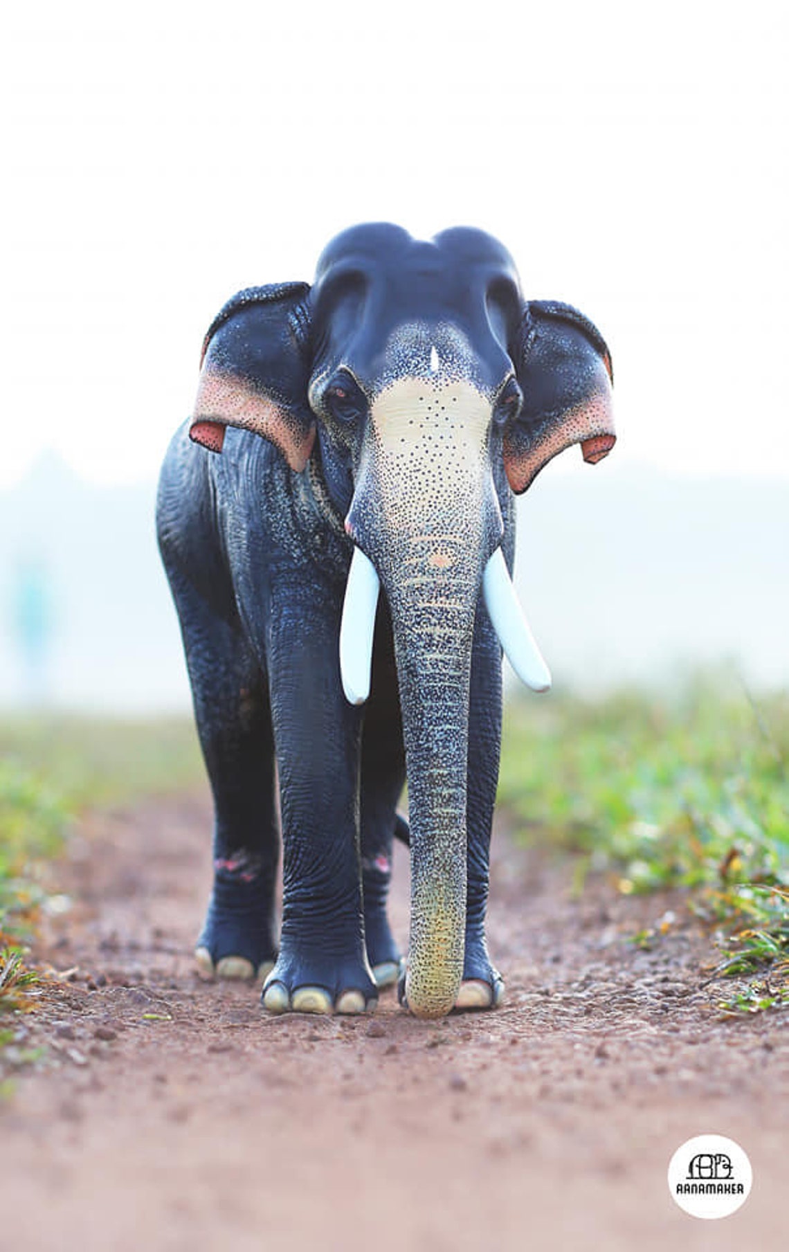 Elephant Miniature Kerala Home decor Minature Guruvayoor | Etsy