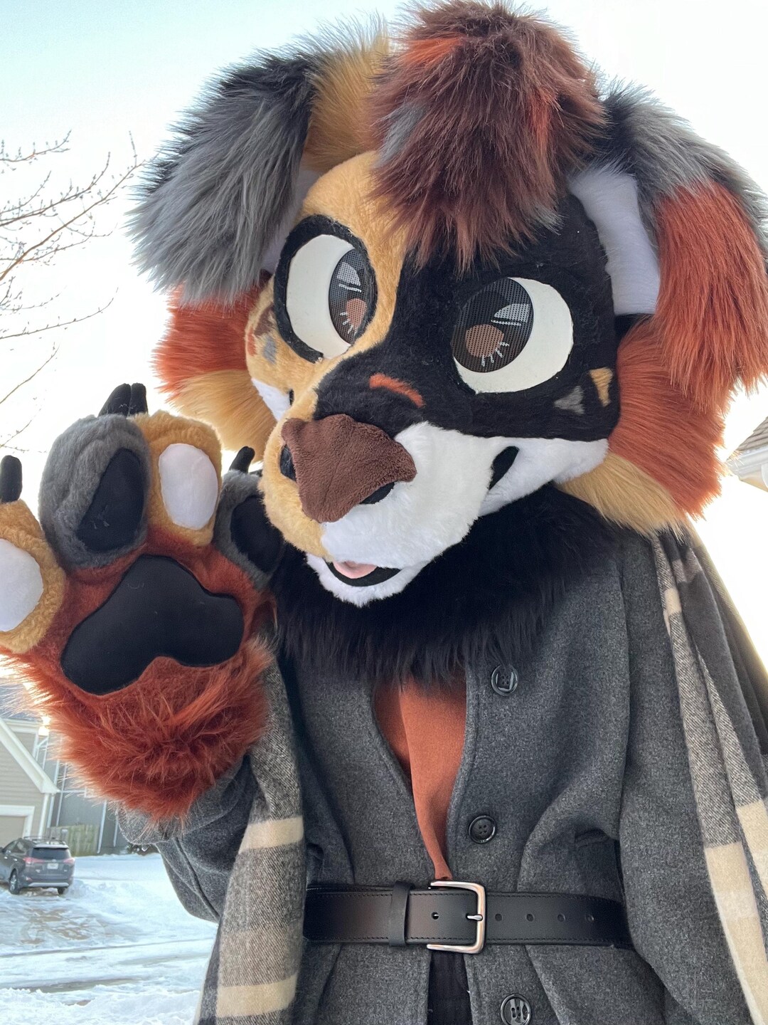 Calico Dog Fursuit Full Partial - Etsy