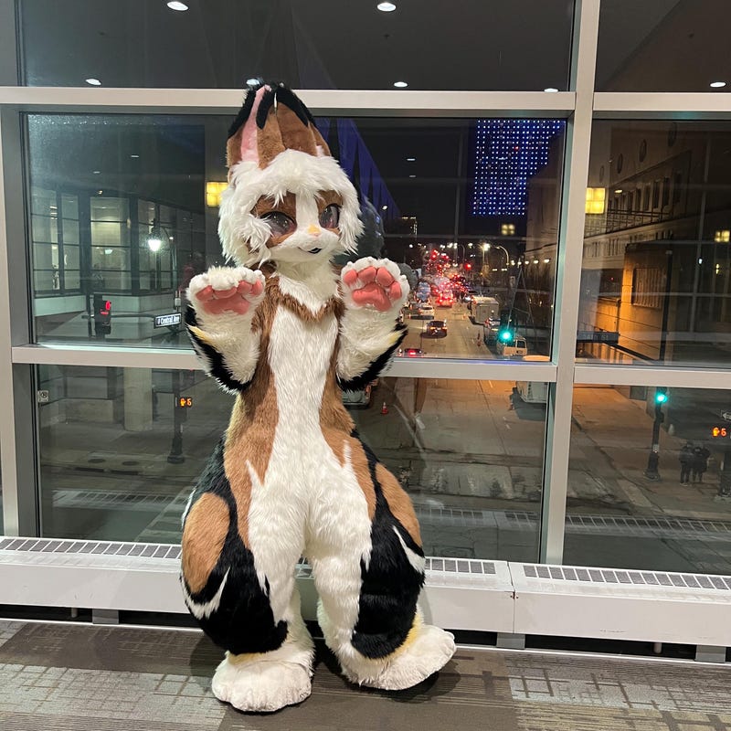 Full Kemono Fursuit - Etsy