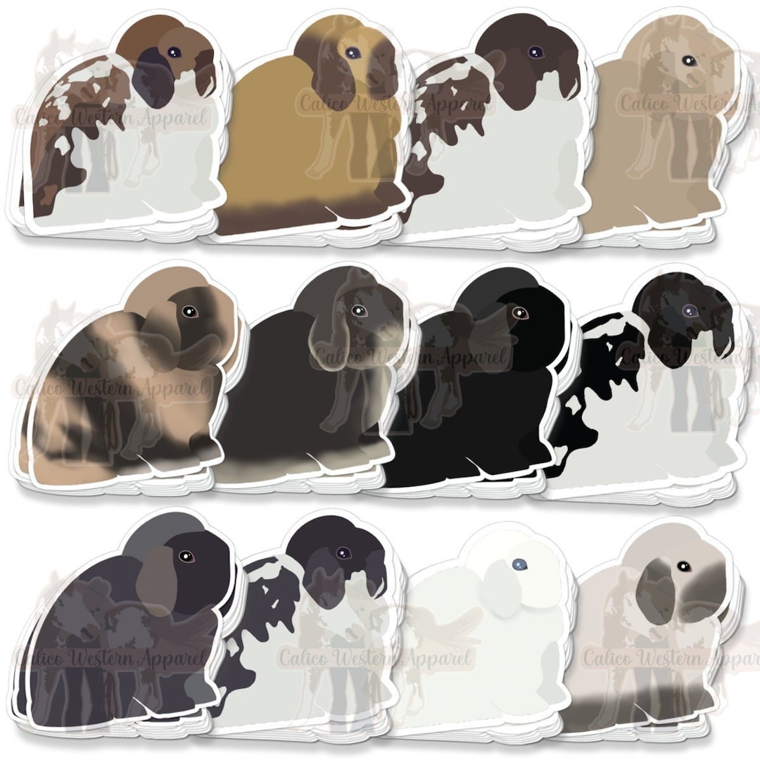 Holland Lop Digital Art Package - Etsy