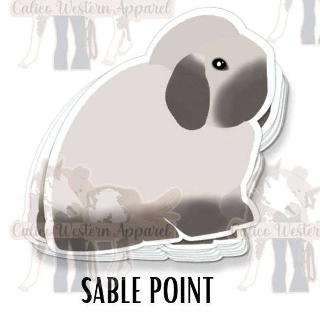 Sable Point Holland Lop Art - Etsy