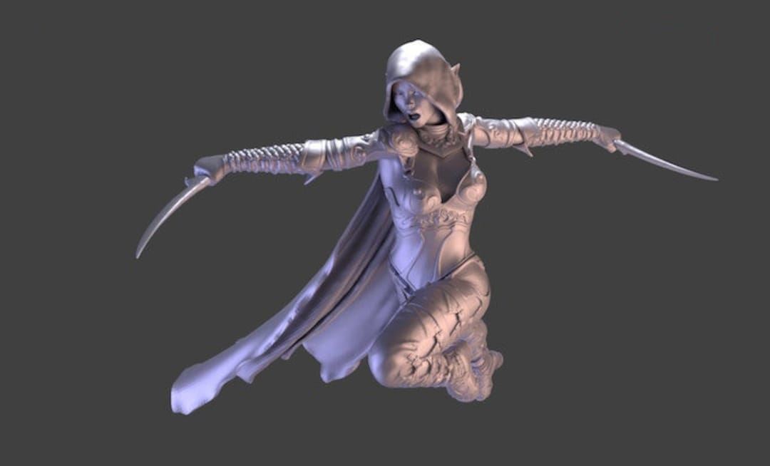 Dark Elf Assassin - Etsy