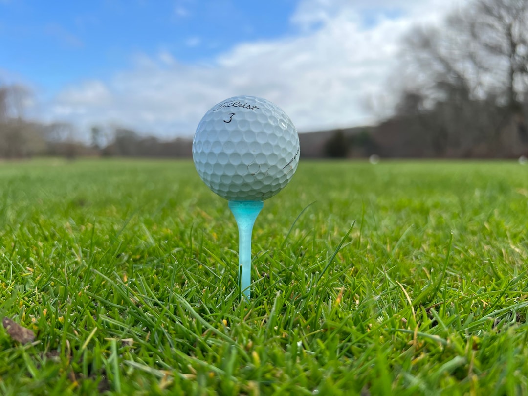 3D Printed Golf Tees 50, 2.75” Tees, Customize Your Colors, Initials ...