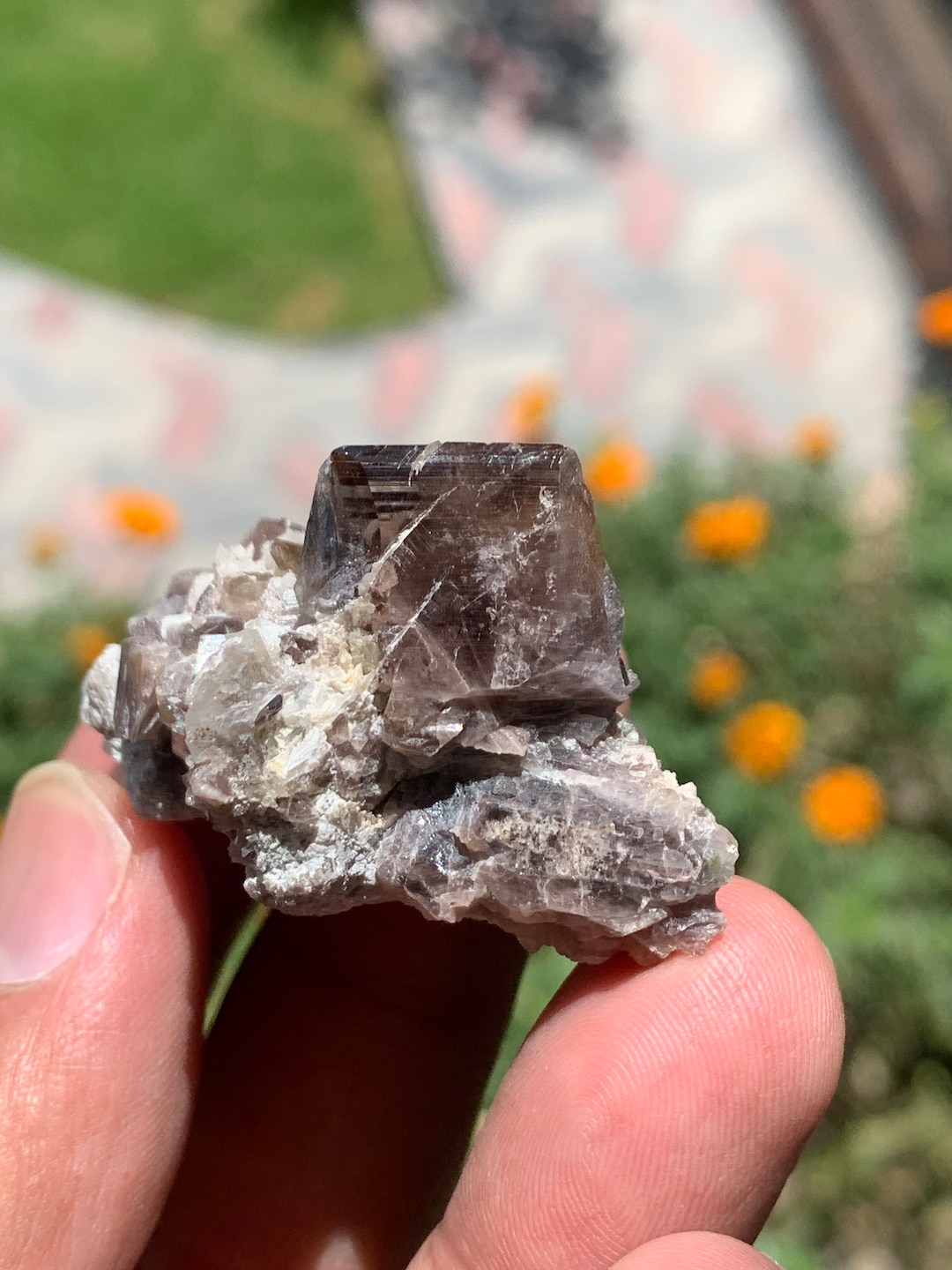 Axinite Mineral Specimen,natural Axinite With Albite Combine Specimen ...