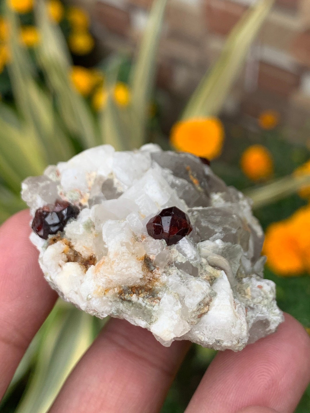 Garnet Mineral Specimen, Perfect Garnet Crystals on Albite , Garnet ...