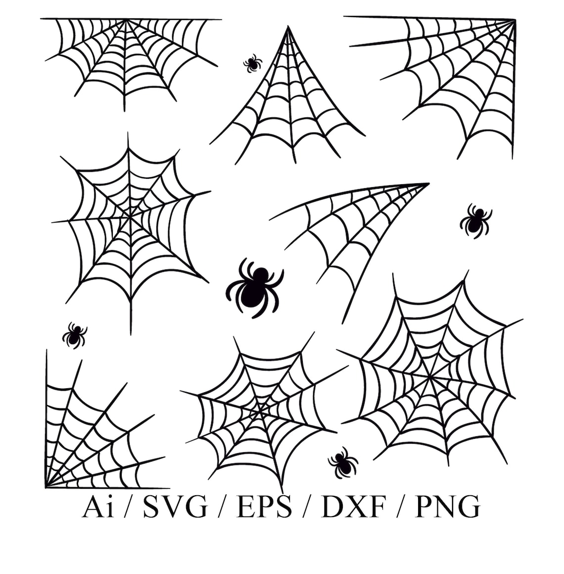 Spider Web SVG / Spiders and Spider Web SVG Files / Clipart - Etsy