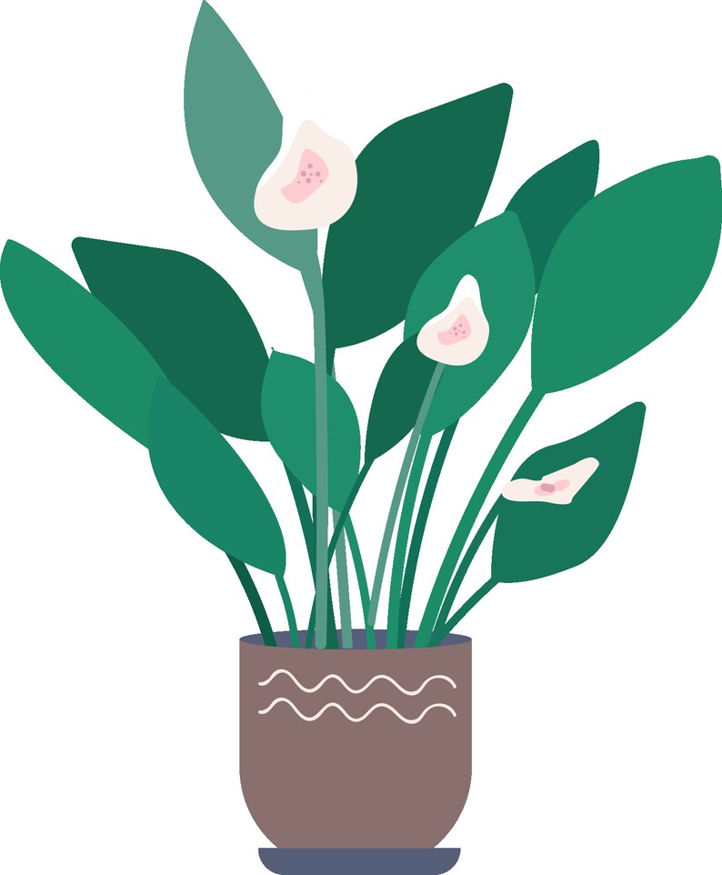 Plant SVG Hand Drawn Potted Plants SVG PNG Houseplants - Etsy Plant SVG Hand Drawn Potted Plants SVG PNG Houseplants - Etsy
