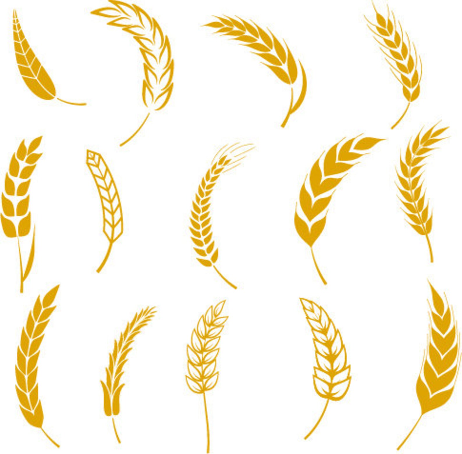 Grain Gold Svg Hand Drawn Grain Svg Bundlewheat Svgbarley | Etsy