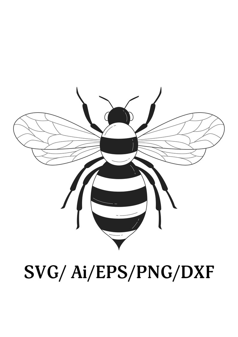 Abeja Svg clipart archivo cortado cricut camisa svg, descarga digital ...