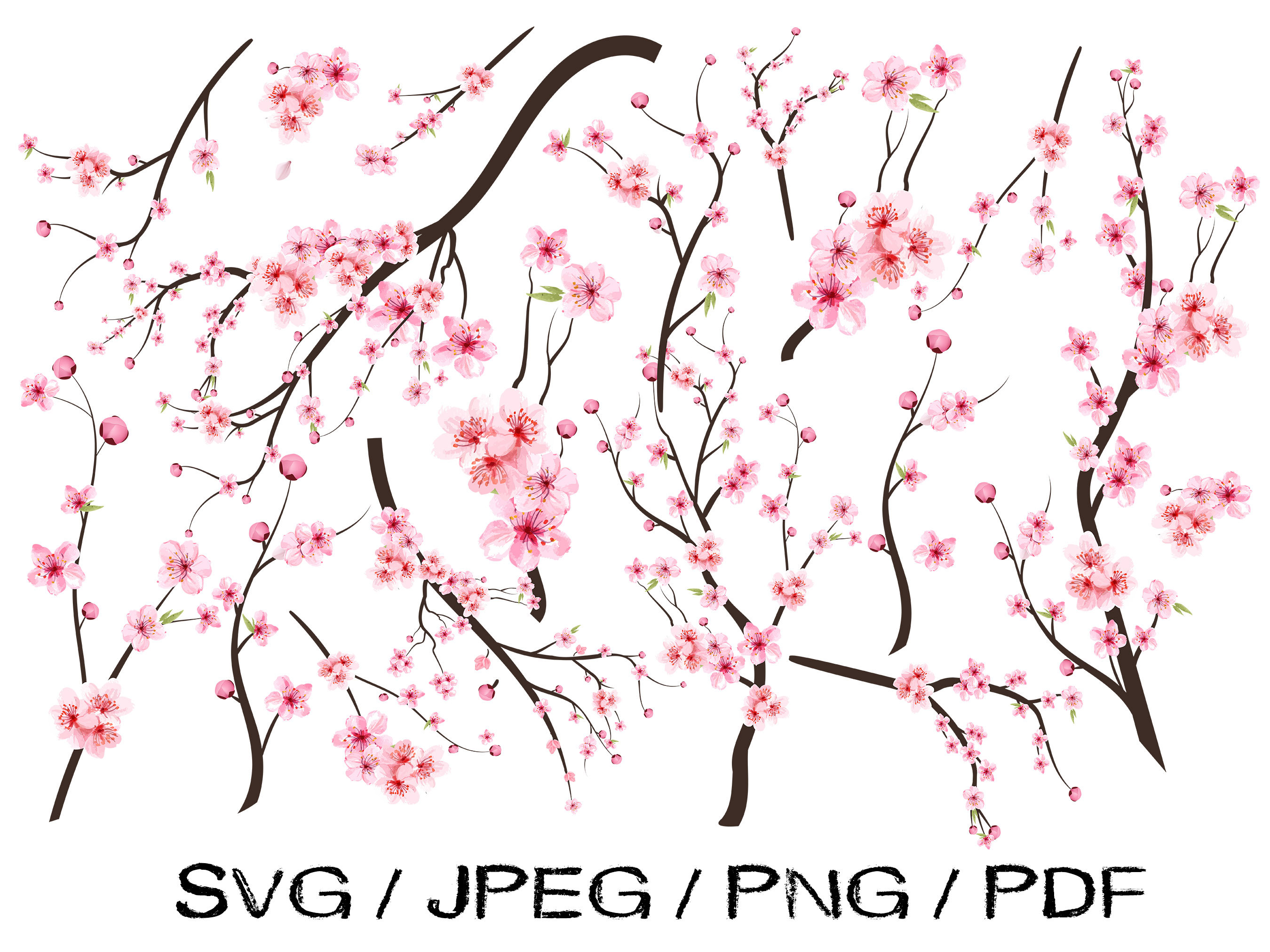 Sakura Flower Cherry Blossom Svg Flower Petal PNG Sakura - Etsy