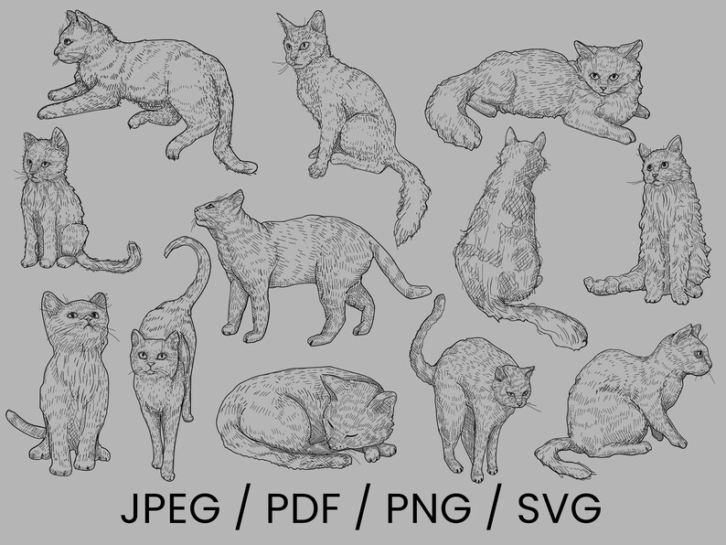 Cat Sketch Drawing Svg Png Cat Drawings Svg Bundle Cat Svg - Etsy
