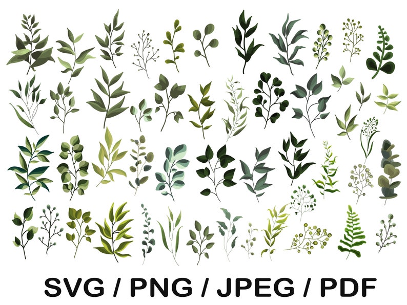 Colourful Leaves Leaves Svg Bundle Leaf Collection Png - Etsy