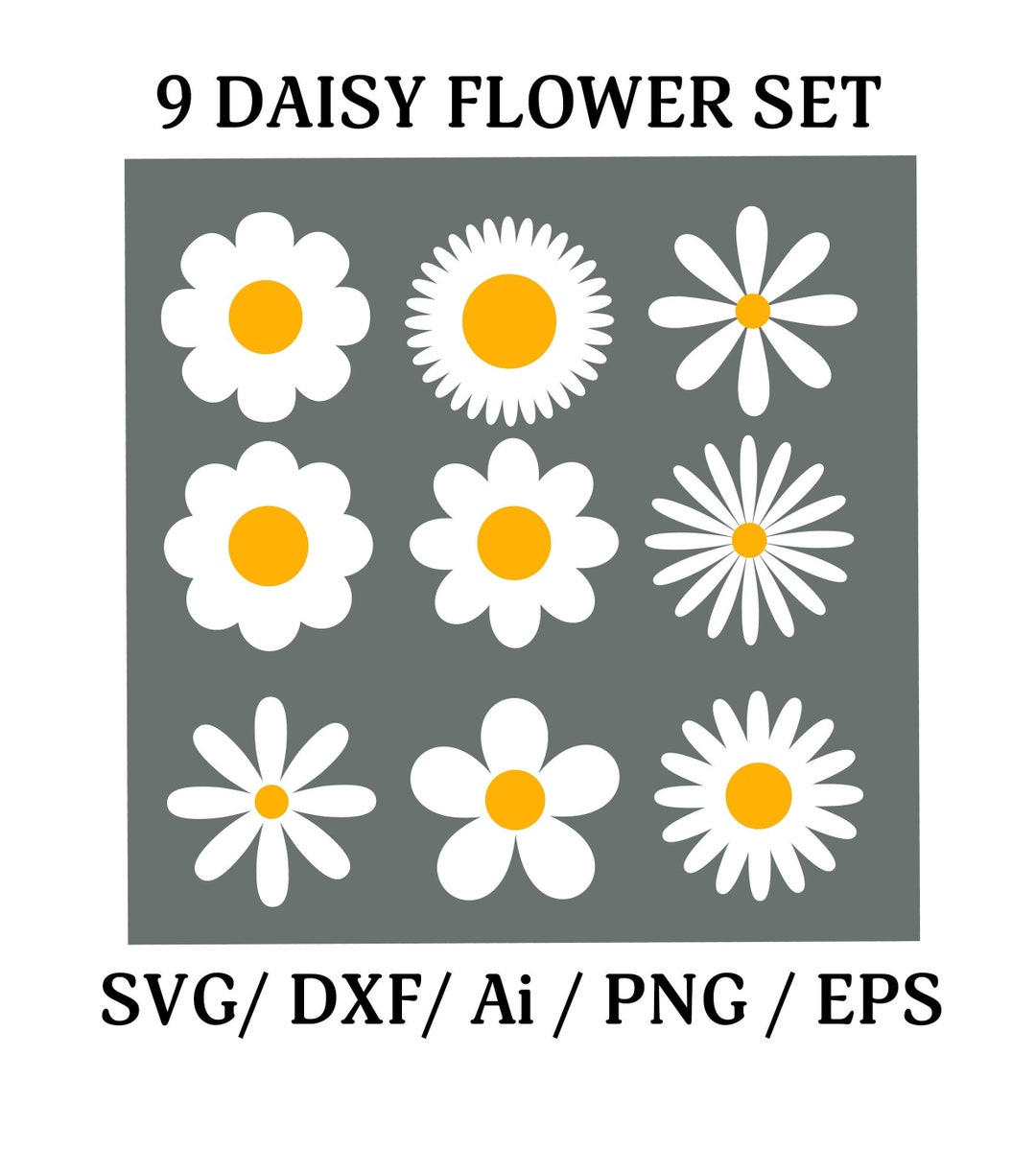 Daisy SVG PNG Flower Set Download, Cameo Vector Cutfile Spring Daisy ...