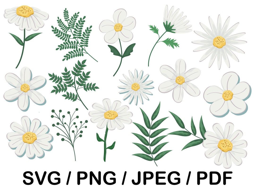 Daisy Svg, Daisy Png, Simple Daisy, Simple Daisy Svg, Daisy Monogram ...
