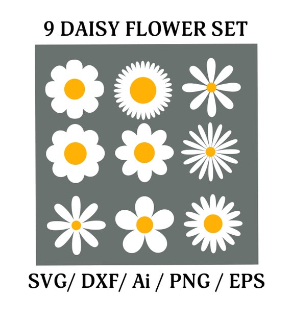 Daisy SVG PNG Flower Set Download Cameo Vector Daisy Set - Etsy