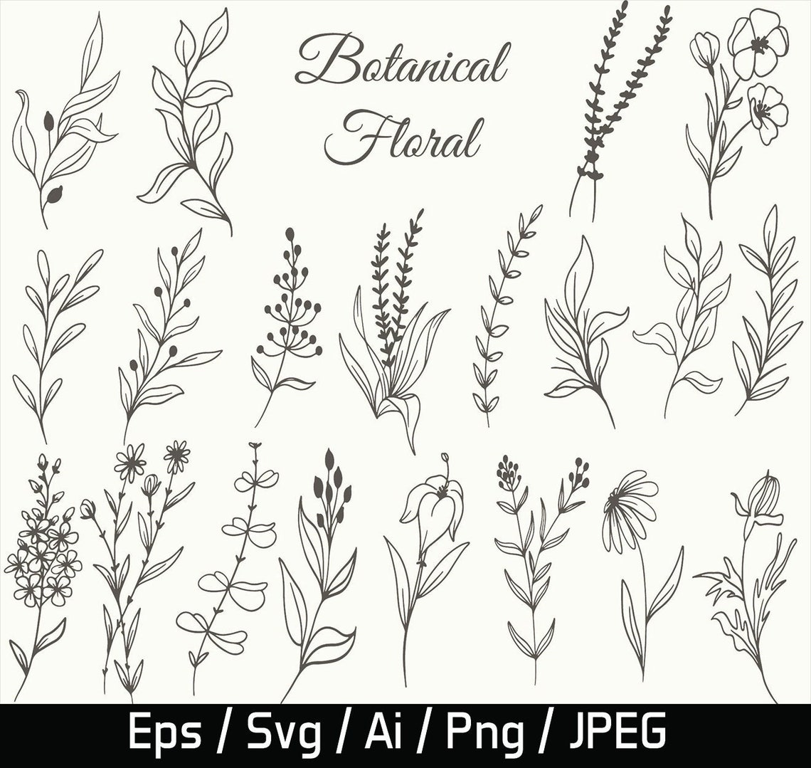 Botanical Svg Botanical Svg Bundle Hand Drawn Leaves Svg - Etsy
