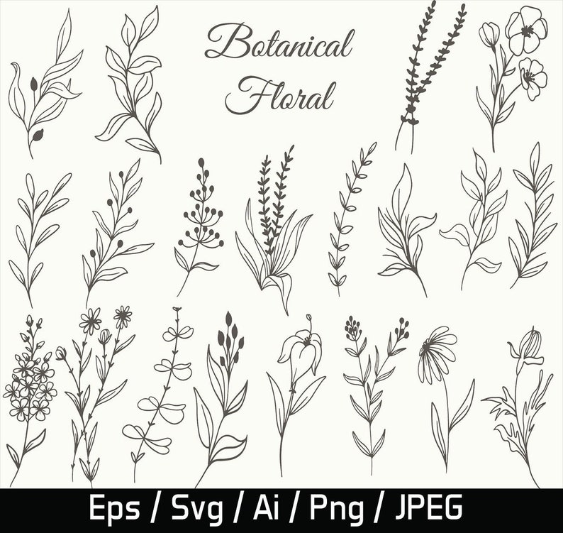 Botanical Svg Botanical Svg Bundle Hand Drawn Leaves Svg - Etsy