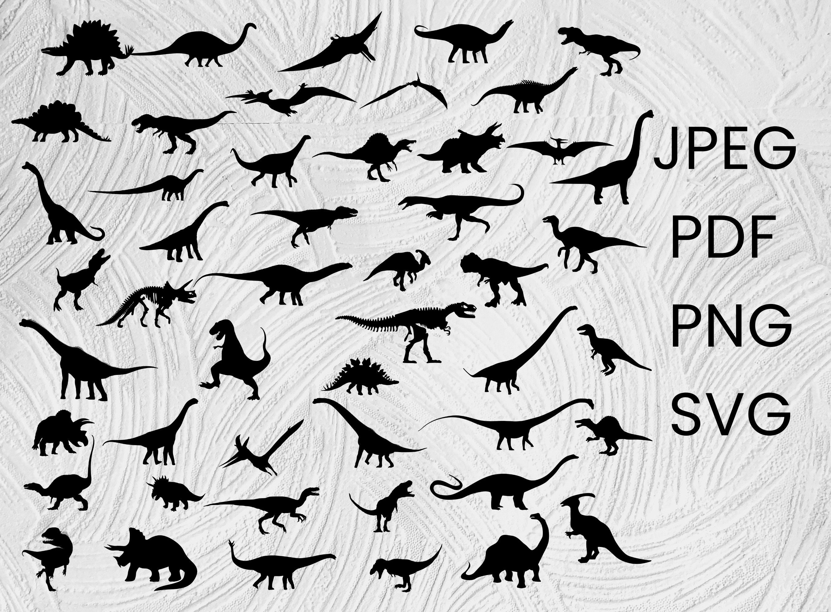 Dinosaur Svg Bundle Dinosaur Clipart Png Kids Dinosaur Svg - Etsy