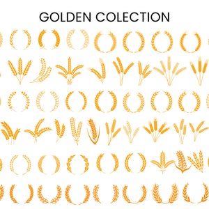 50 + Golden Wheat SVG Bundle, Golden Wheat SVG, Gold Grain Svg, Wheat ...