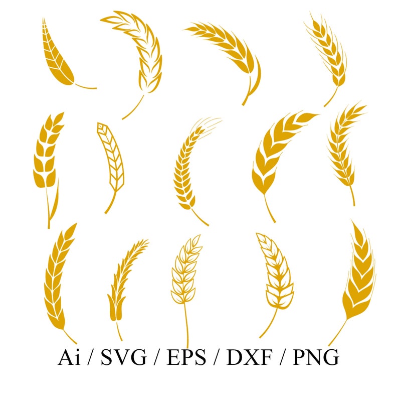 Grain Gold Svg, Hand Drawn Grain Svg Bundle,wheat Svg,barley Svg,farm ...