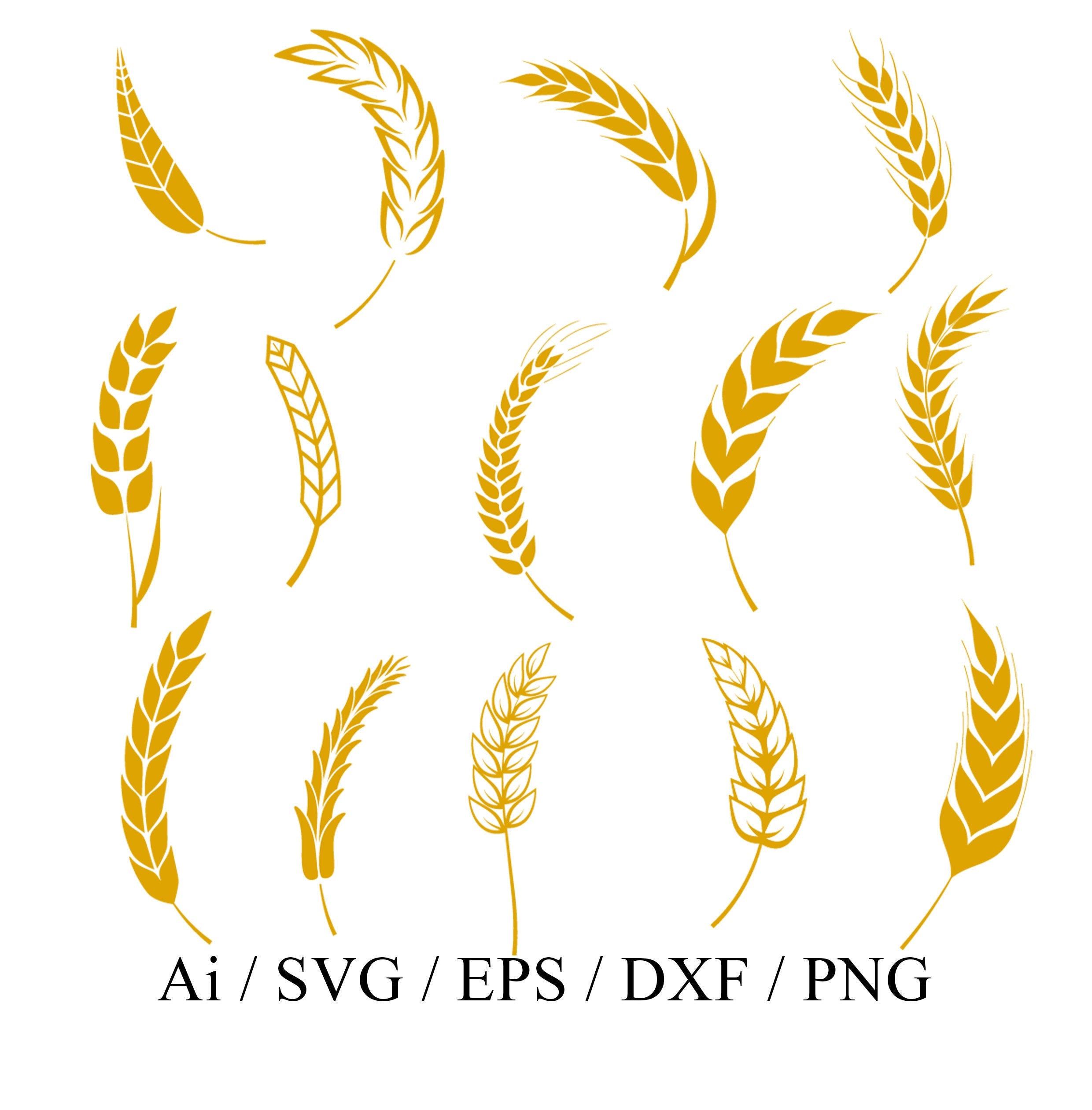 Grain Gold Svg Hand Drawn Grain Svg Bundlewheat Svgbarley - Etsy Canada