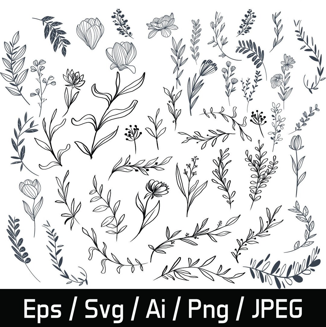 47 Flower Svg, Wedding Svg, Flowers and Leaf Botanical Element Svg ...