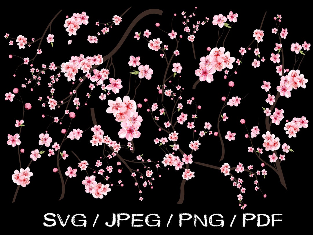 Cherry Blossom Svg, Flower Petal PNG, Sakura Svg, Sakura Svg, Cherry ...