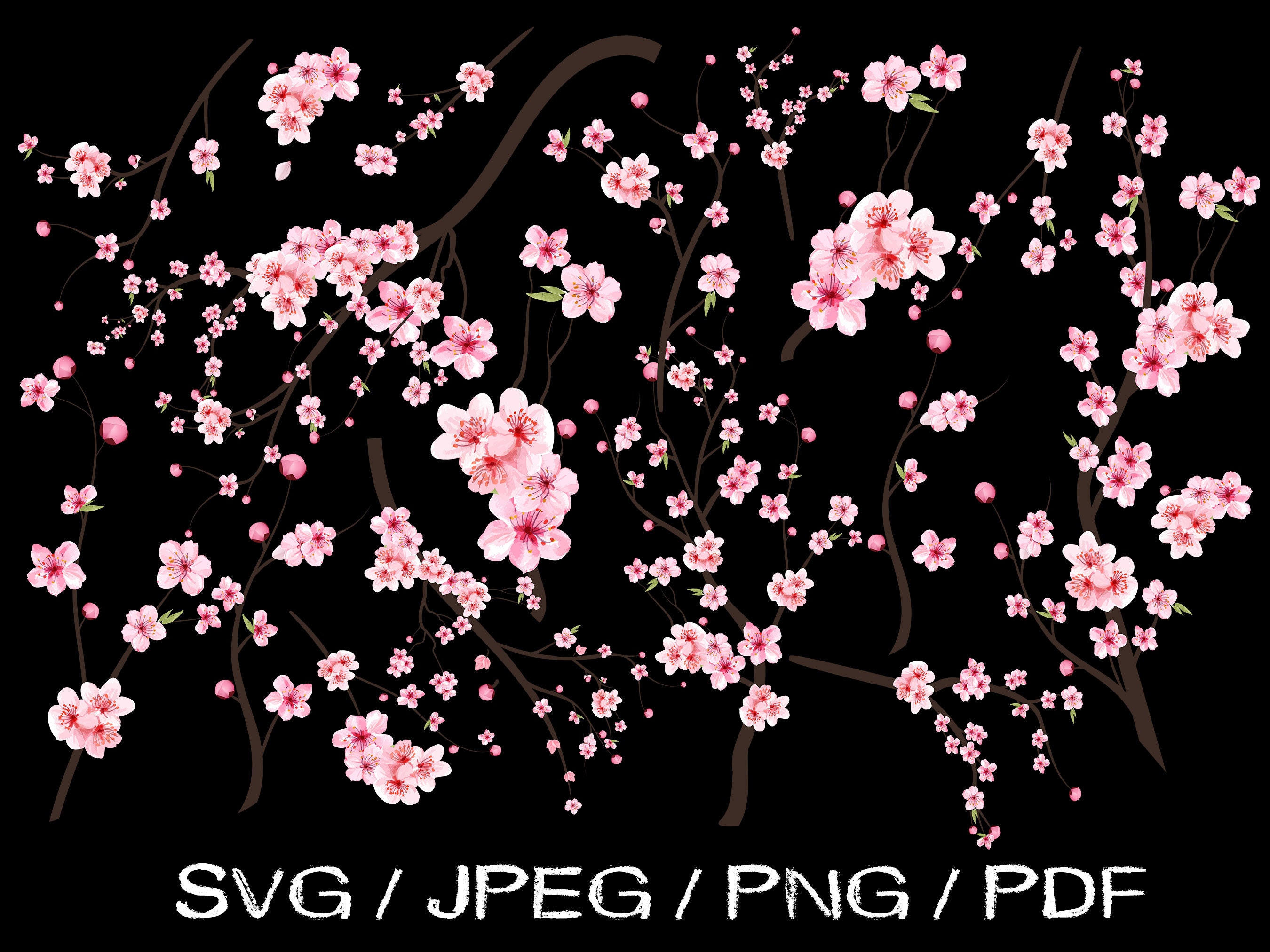 Sakura Flower Cherry Blossom Svg Flower Petal PNG Sakura - Etsy