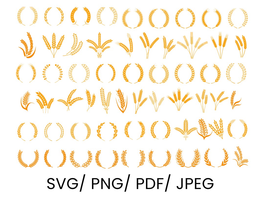 Golden Wheat SVG Bundle, Golden Wheat SVG, Gold Grain Svg, Wheat SVG ...