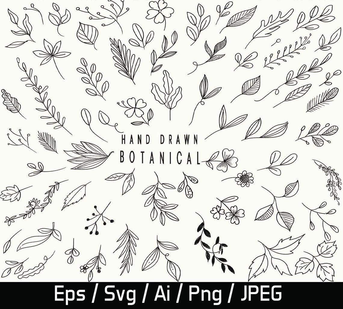 Botanical Svg Botanical Svg Bundle Hand Drawn Botanical Svg | Etsy