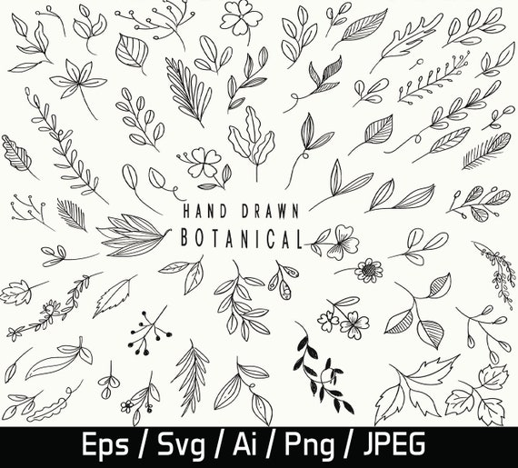 Botanical Svg Botanical Svg Bundle Hand Drawn Botanical Svg | Etsy