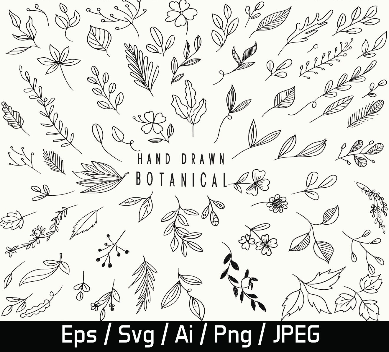 Botanical Svg Botanical Svg Bundle Hand Drawn Botanical Svg - Etsy