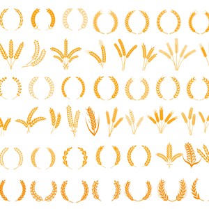 50 + Golden Wheat SVG Bundle, Golden Wheat SVG, Gold Grain Svg, Wheat ...