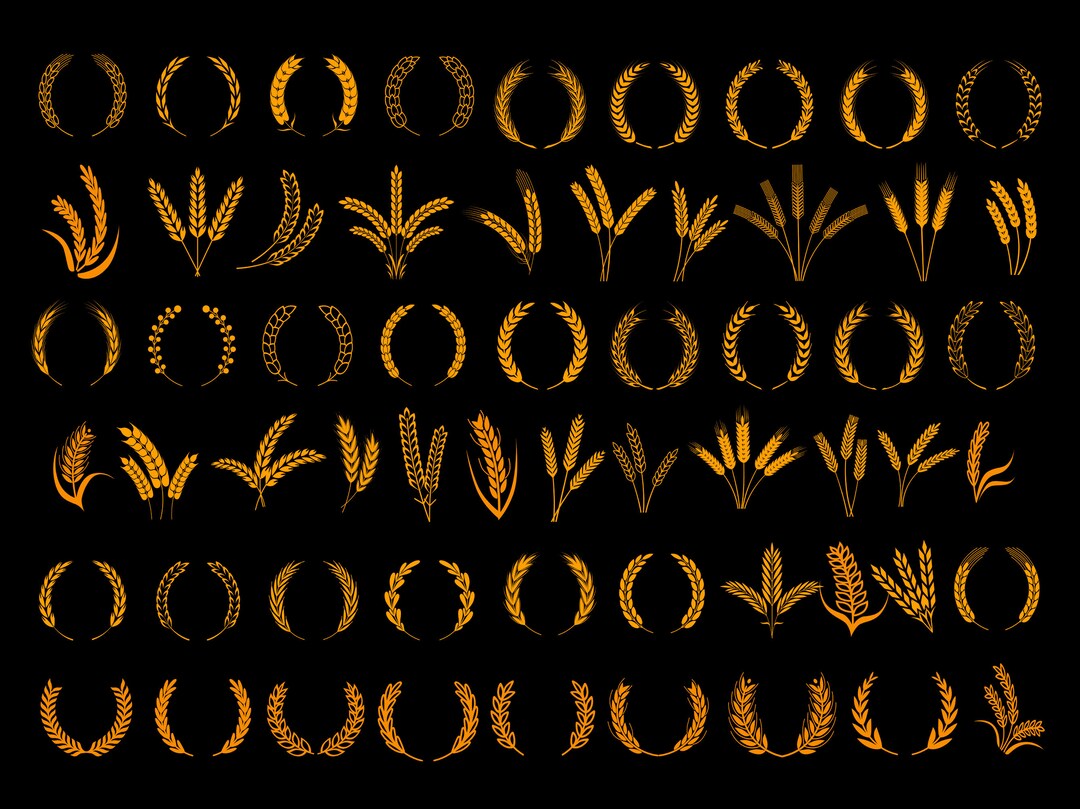 50 + Golden Wheat SVG Bundle, Golden Wheat SVG, Gold Grain Svg, Wheat ...
