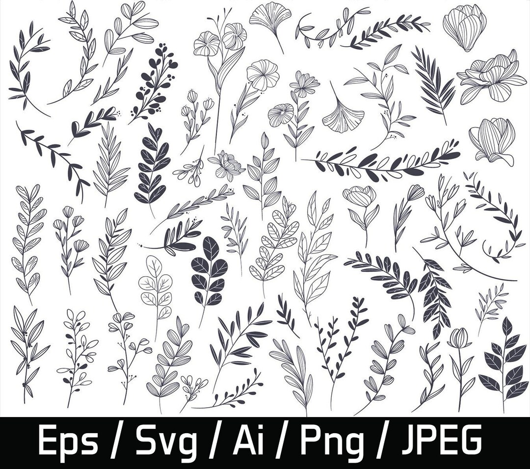 Floral Svg, Flora Svg Bundle, Hand Drawn Flora Svg , for Wedding ...