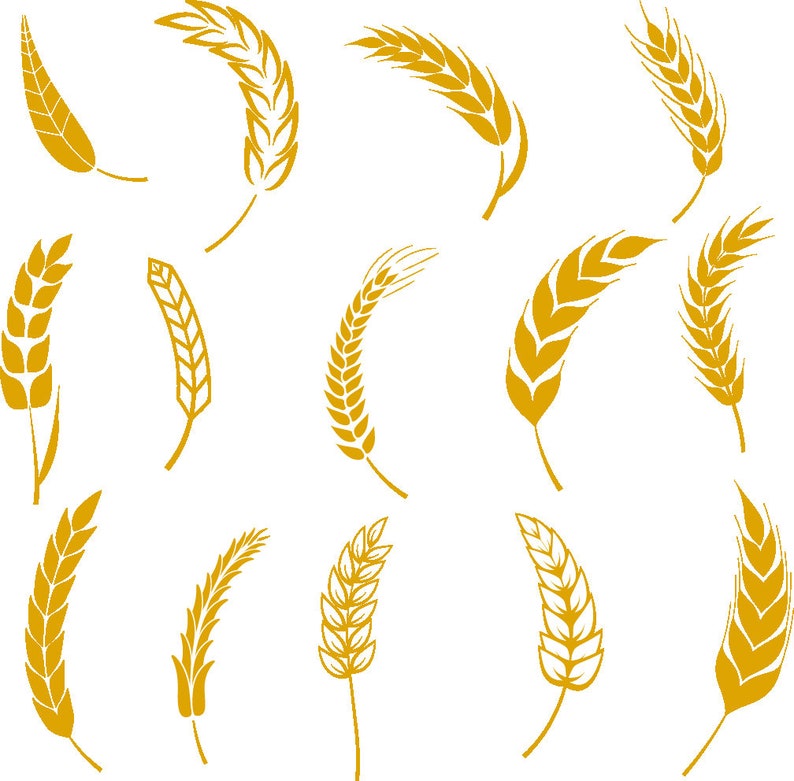Grain Gold Svg Hand Drawn Grain Svg Bundlewheat Svgbarley | Etsy