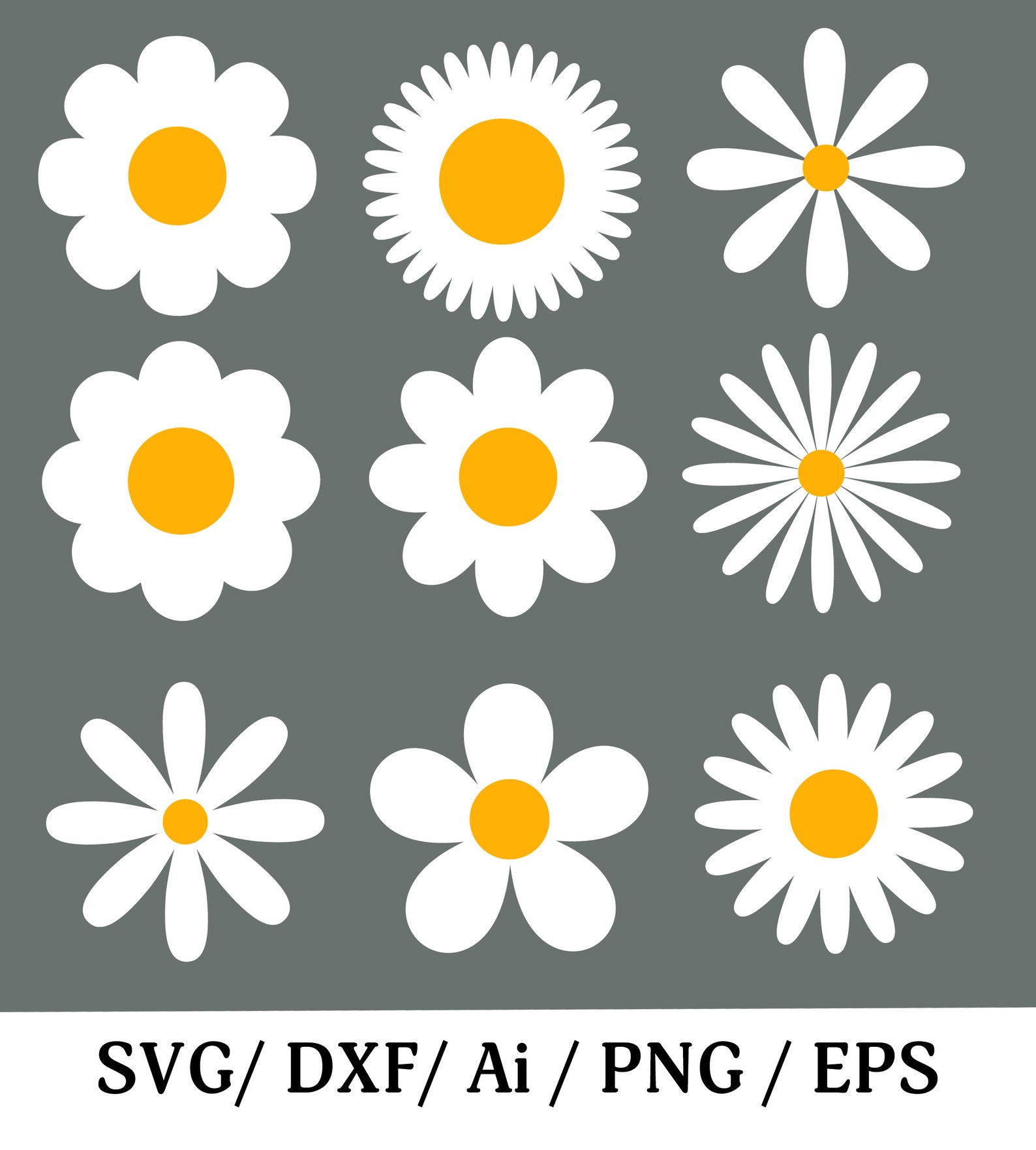 Daisy SVG PNG Flower Set Download Cameo Vector Daisy Set - Etsy