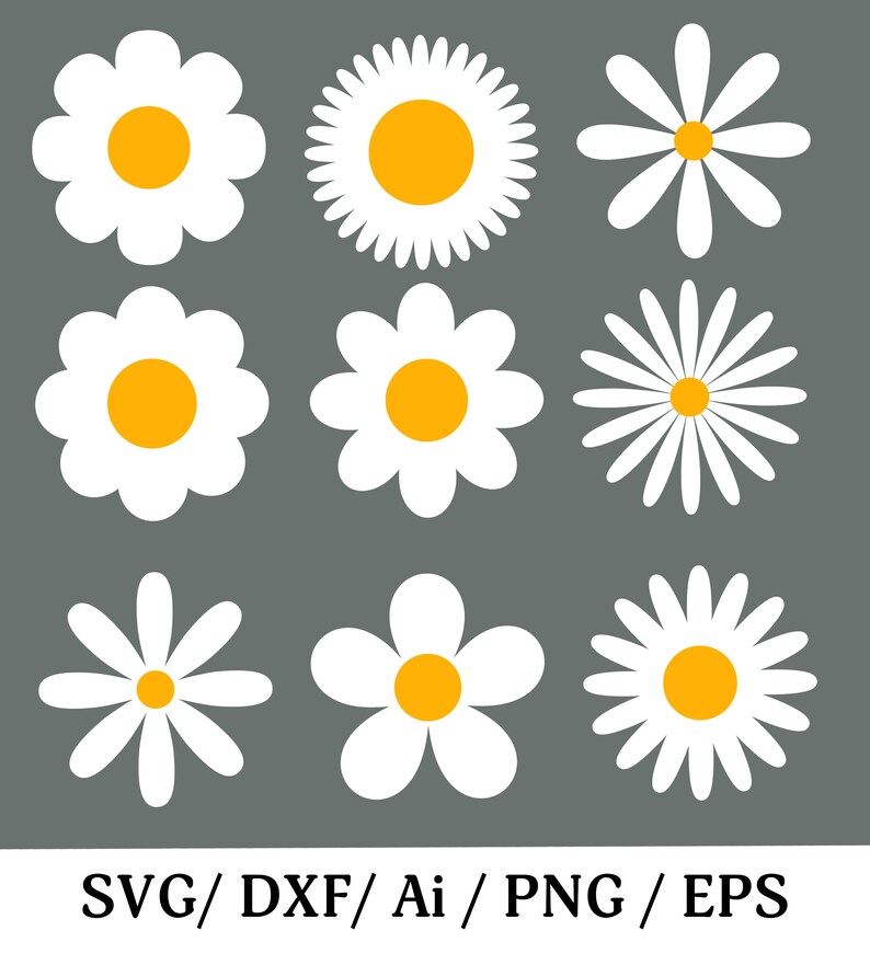 Daisy SVG PNG Flower Set Download Cameo Vector Daisy Set - Etsy
