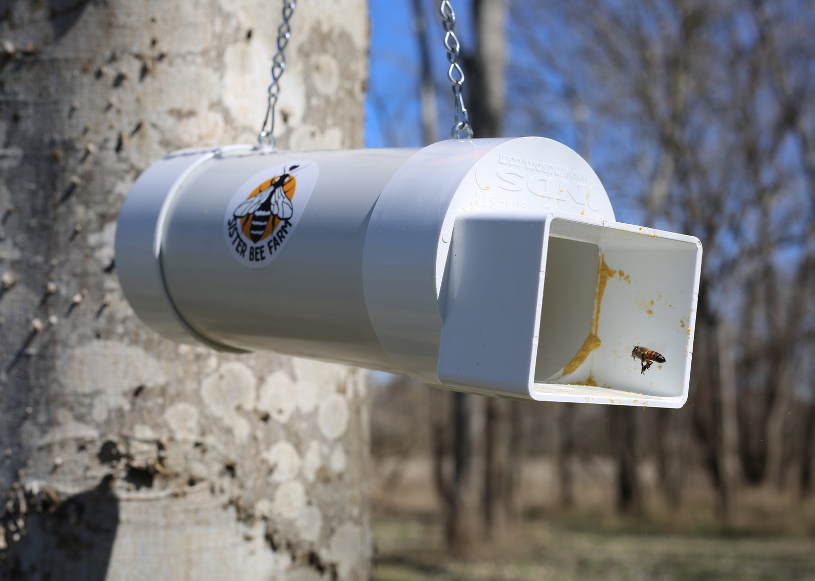 Honey Bee Pollen Feeder | Etsy