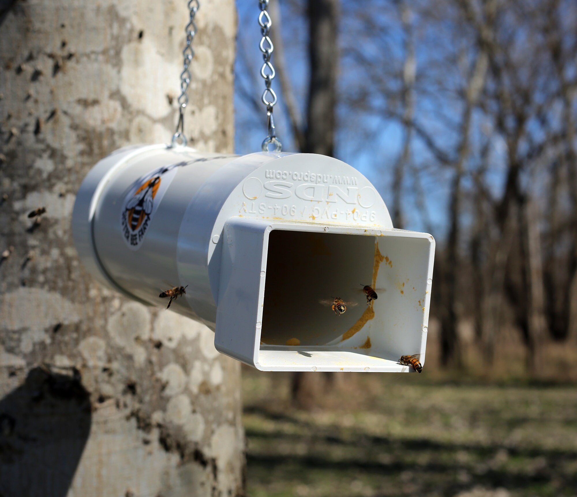 Honey Bee Pollen Feeder | Etsy