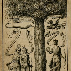 167 Old Alchemical Books & Manuscripts on USB - Philosophy Occult ...